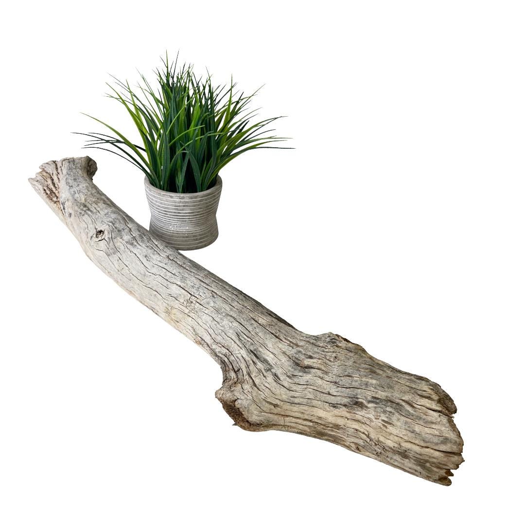 Driftwood Log for Vivarium, 27.5