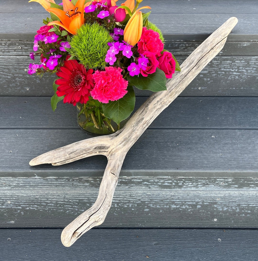 Driftwood Tree Branch for Reptile Tank Decor, Bearded Dragon ...