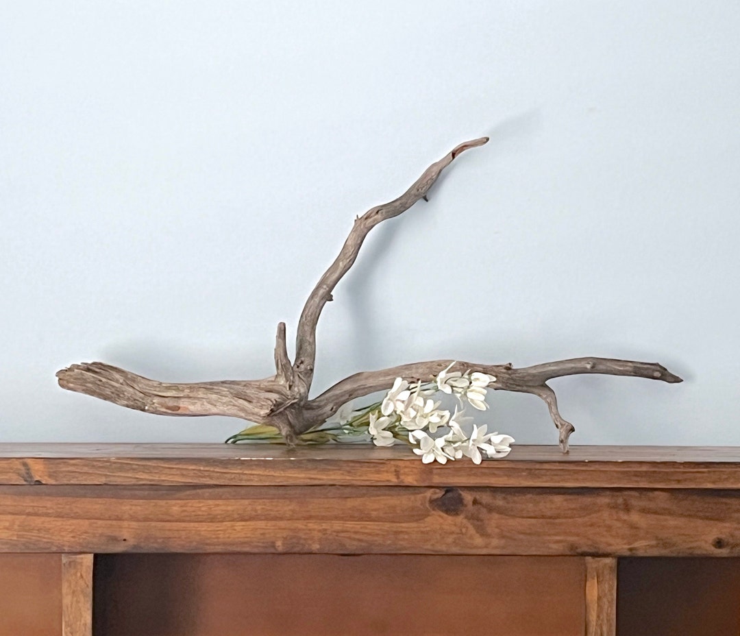 Juniper Deadwood Tree Branch, Twisted Wood Branch Decor, Juniper Dead ...