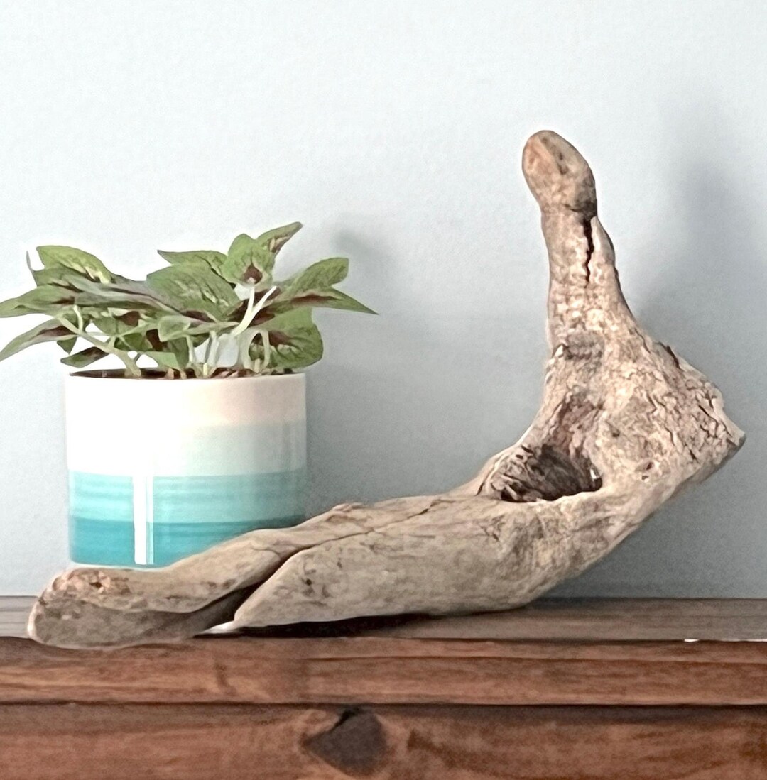 Unique Driftwood Branch, Rustic Shelf Decor, Tree Branch Art, Wall ...