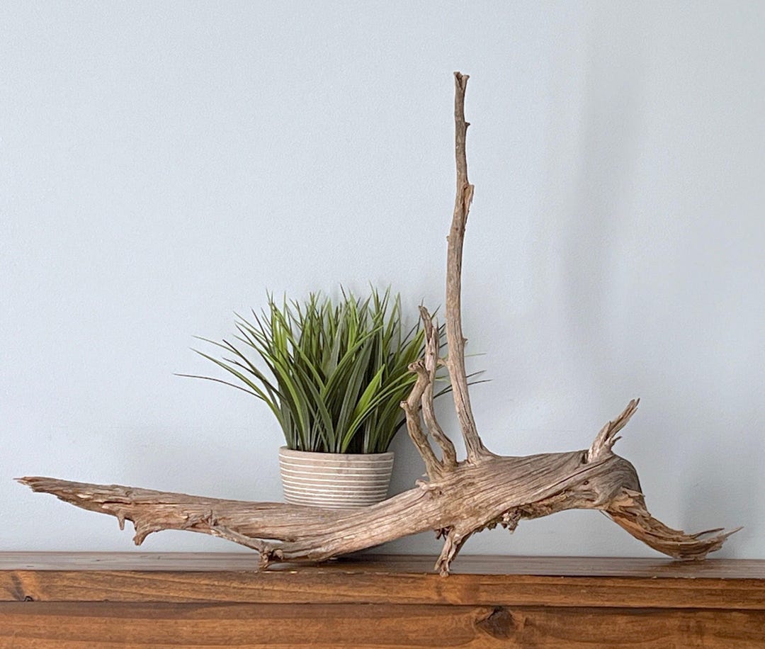 Large Juniper Deadwood, Rustic Branch Decor, Bonsai Wood, 27 Long Tree ...