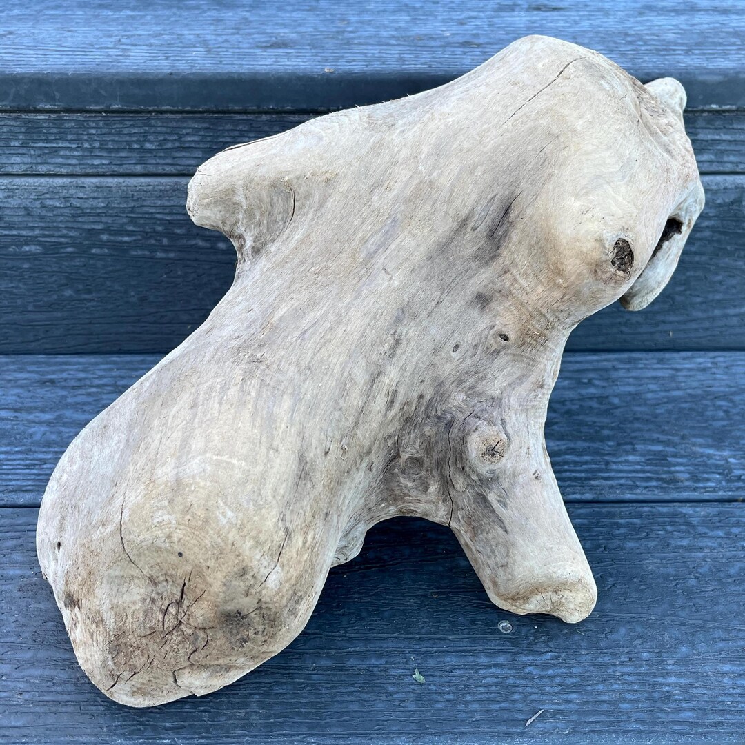 Driftwood Tree Trunk for Garden Filler, Wood for Outdoors, Tree Stump ...