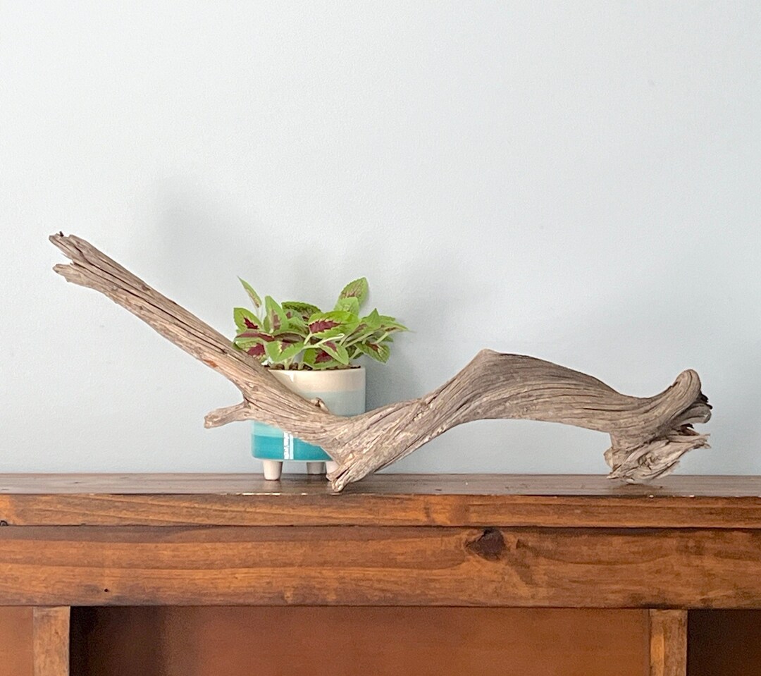 Juniper Deadwood Tree Branch for Rustic Decor, Twisted Wood for DIY ...