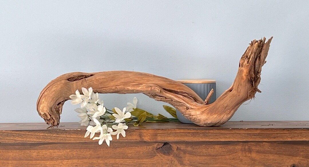 Juniper Deadwood Tree Branch, Rustic Branch Decor, Bonsai Wood, 21 Long ...