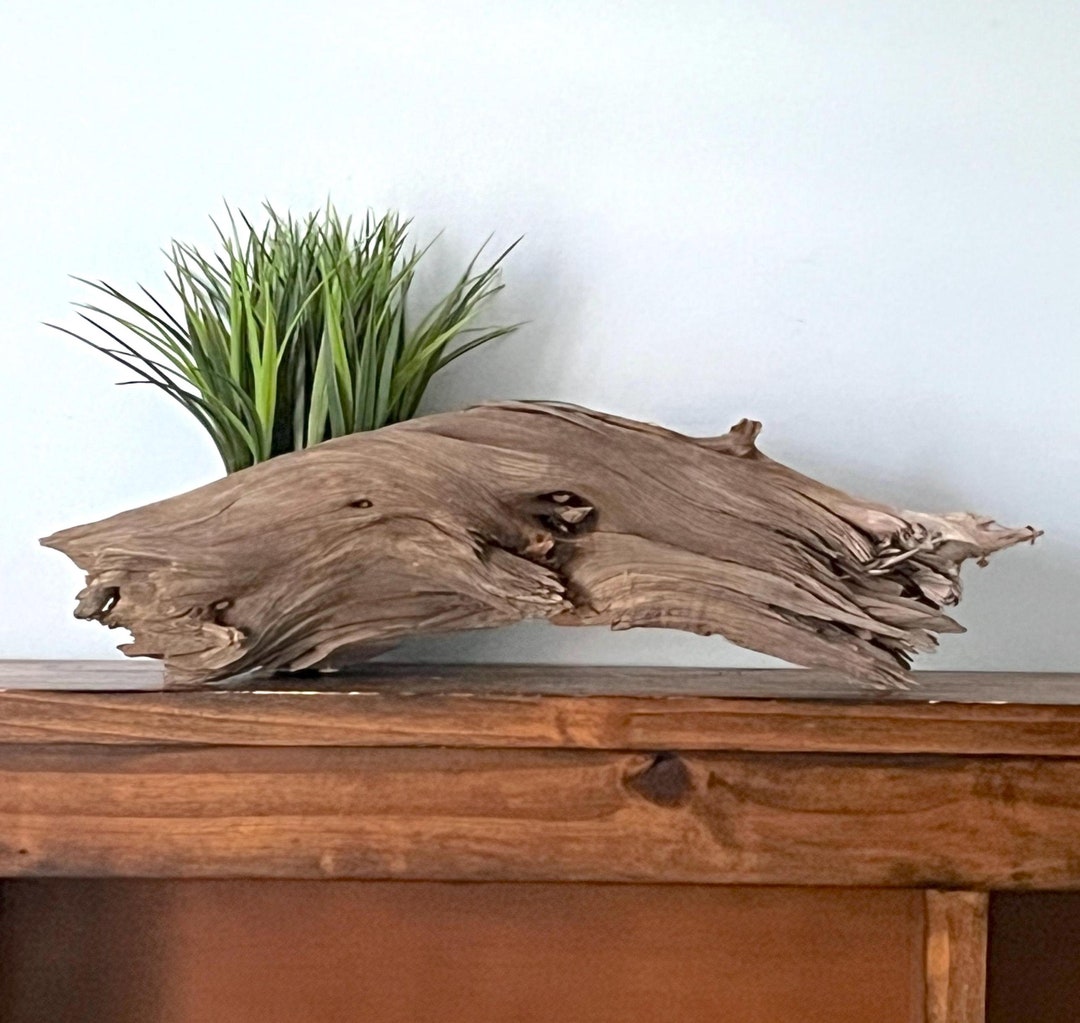 Juniper Deadwood Tree Branch, 20 Wood Log Decor, Juniper Dead Wood ...