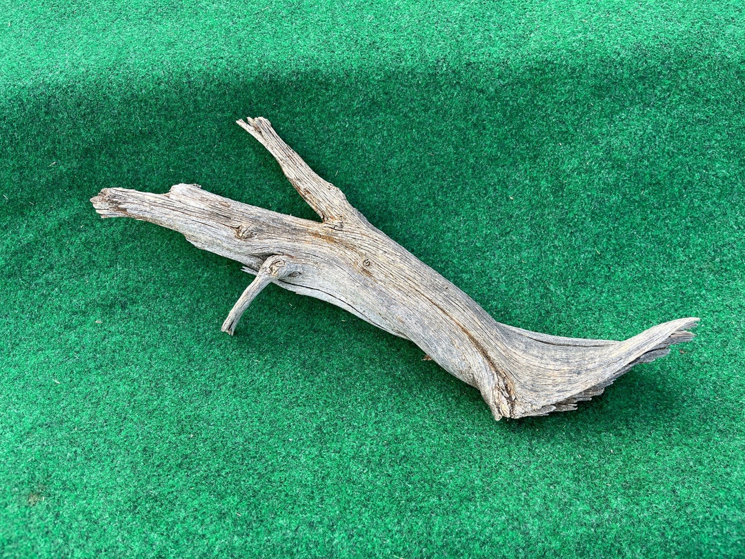 Juniper Deadwood Tree Branch, Rustic Mantle Decor, Twisted Wood for ...