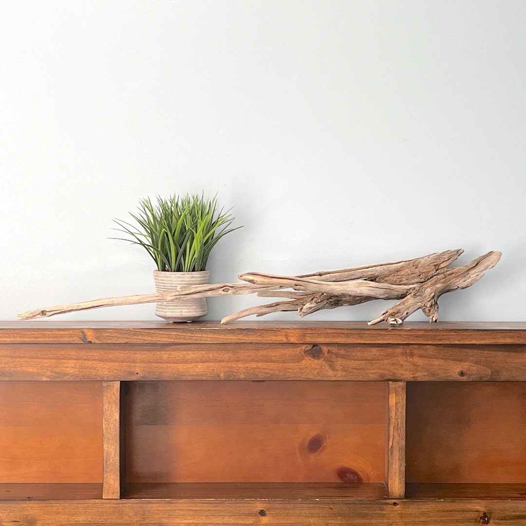 Driftwood Tree Branch, Rustic Branch Decor, Table Display, Decorative ...