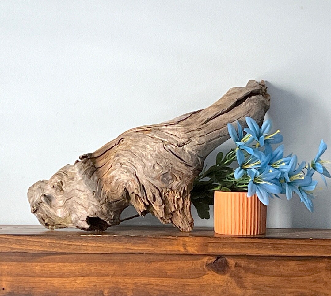Driftwood Branch Sculpture, Beach House Decor, Wood for Centerpiece ...