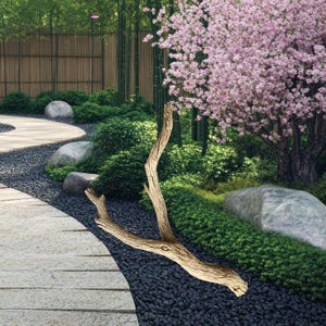 Juniper Deadwood Branch for Landscape Decor, Rustic Branch Decor ...