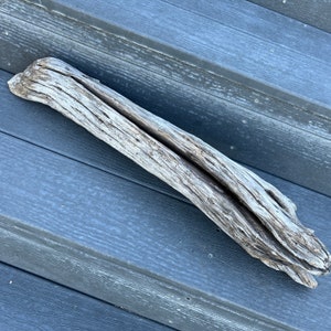 Driftwood Branch for Reptiles, Wood for Lizards, Bearded Dragon ...