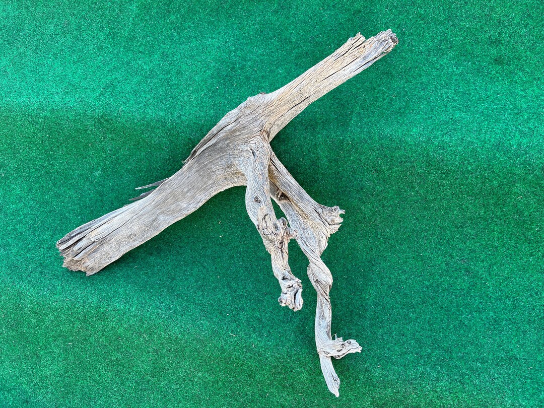 Juniper Deadwood Tree Branch, Rustic Branch Decor, Bonsai Wood, Natural ...