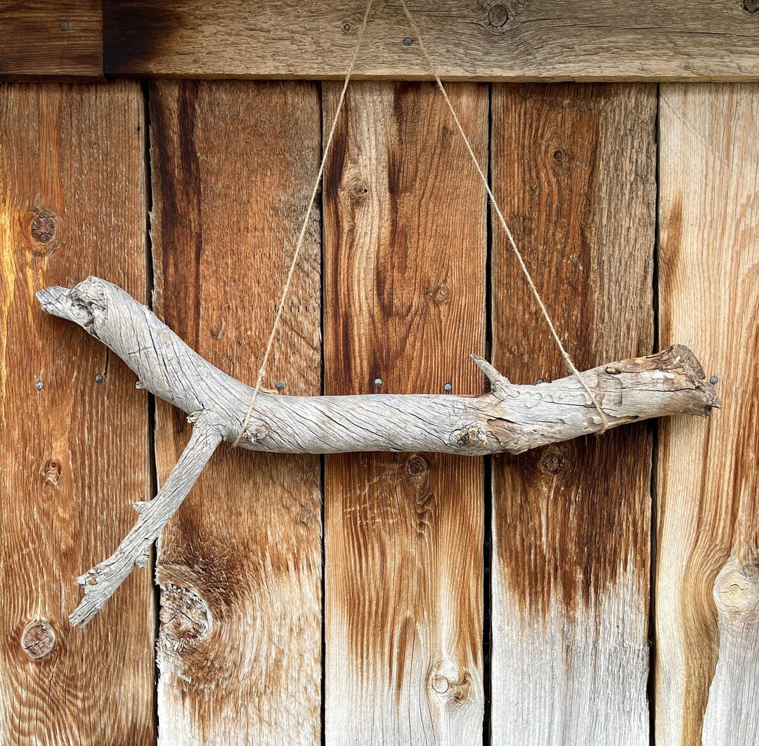 Driftwood Branch for Wall Hanging, Tree Branch Decor, Decorative ...