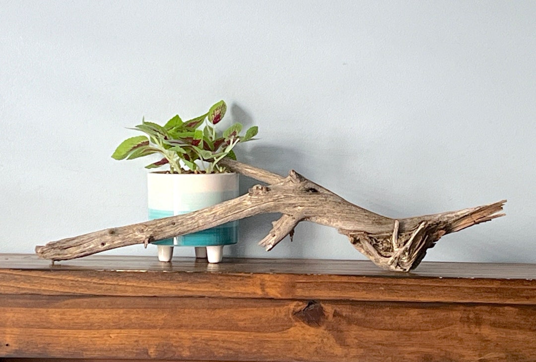 Juniper Deadwood Tree Branch, Rustic Branch Decor, Twisted Wood, Bonsai ...