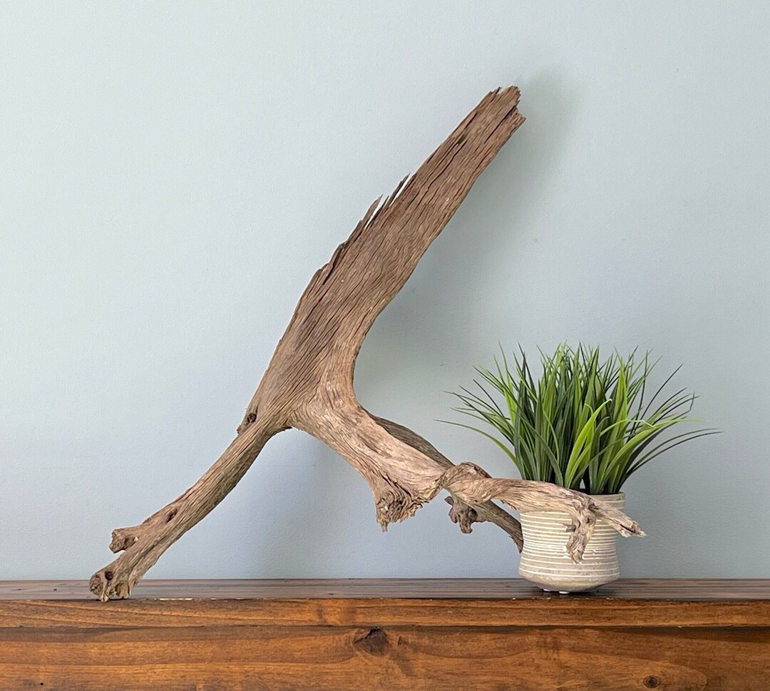 Juniper Deadwood Tree Branch, Rustic Branch Decor, Bonsai Wood, Natural ...