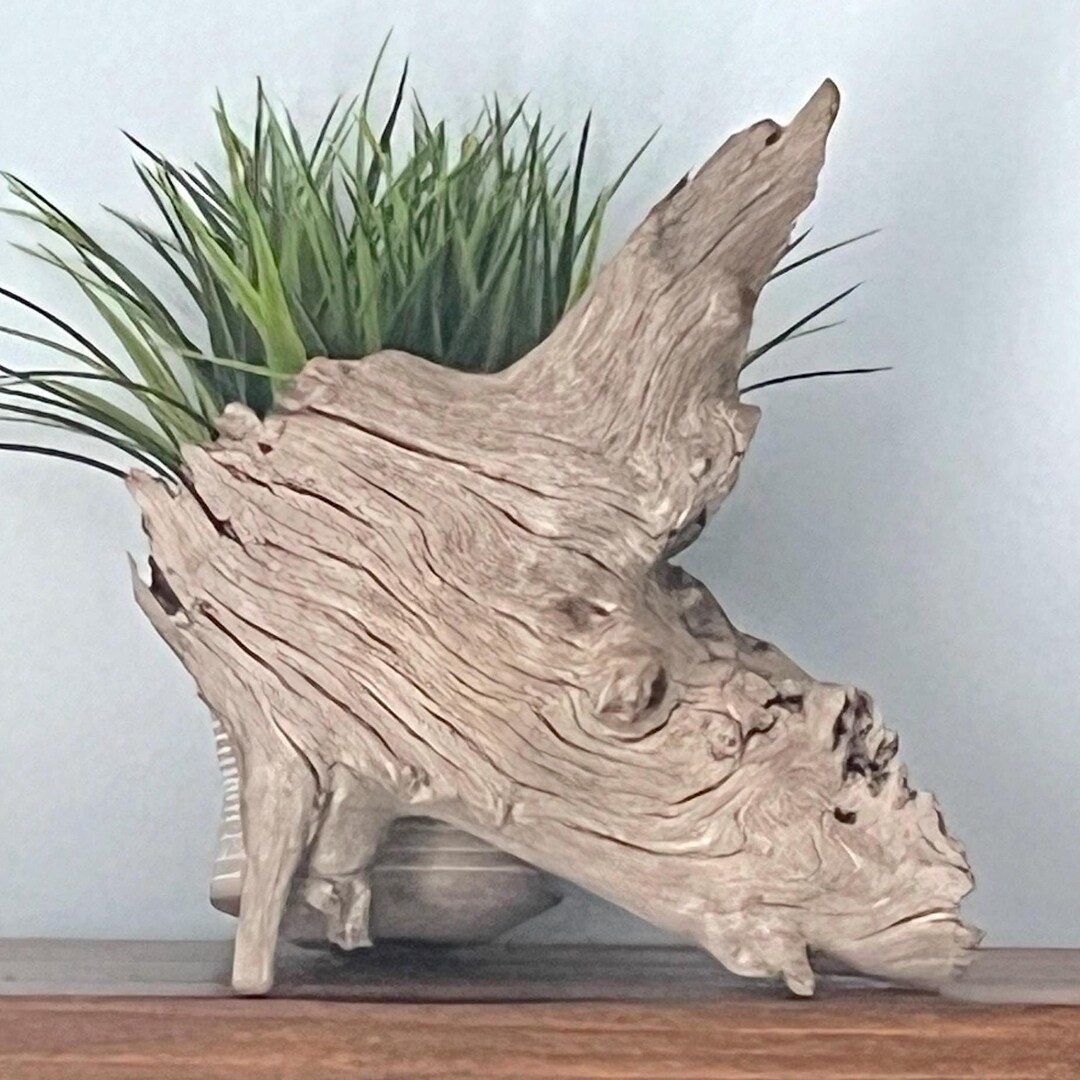 Juniper Deadwood Tree Branch Decor, Juniper Wood Log, Tree Trunk ...