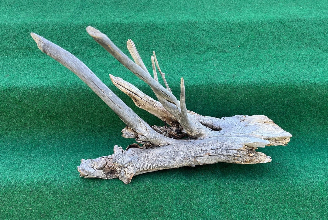 Driftwood Branch for Reptiles, Wood for Lizards, Bearded Dragon ...