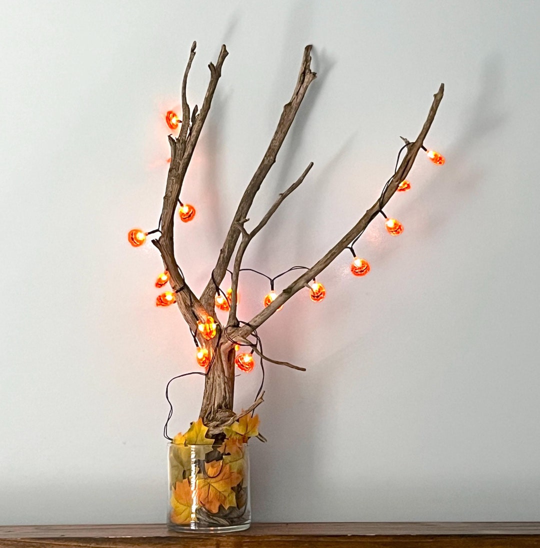 Juniper Deadwood Branch for Halloween Tree Decor, Natural Wood for ...