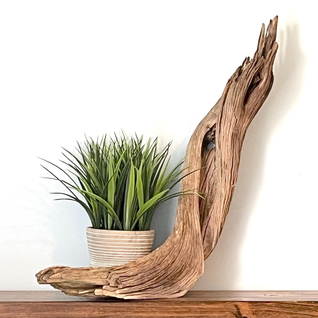 Juniper Deadwood Tree Branch, Rustic Branch Decor, Bonsai Wood, 22 ...