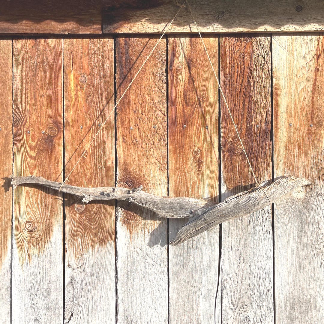 Twisted Wood Hanging Branch Decor, Juniper Deadwood, 34.5" Tree Branch ...