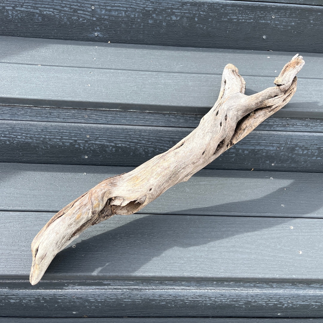 Driftwood Tree Branch for Reptile Tank Decor, Bearded Dragon ...