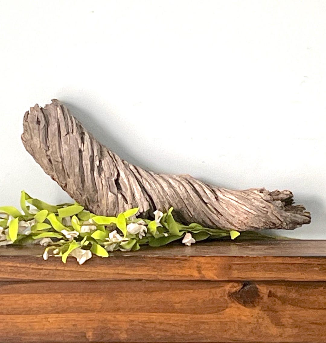 Twisted Juniper Deadwood Tree Branch for Rustic Decor, Natural Wood ...