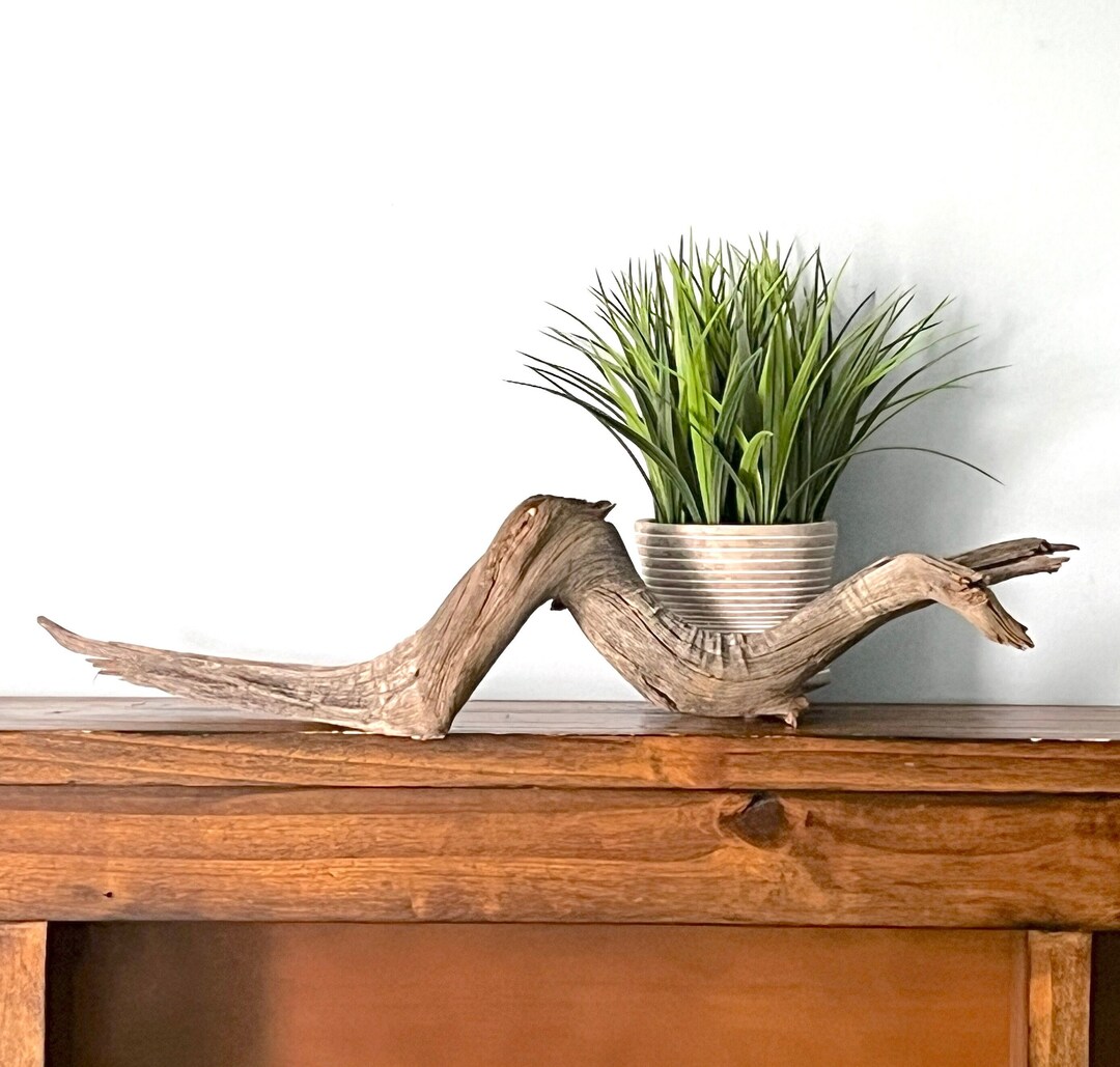 Juniper Deadwood Branch, Rustic Branch Decor, Bonsai Wood, 21 Tree ...