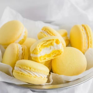 French Macarons - Etsy