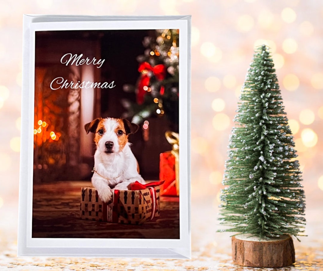 Jack Russell Christmas Cards A6 Card Jack Russell Lovers - Etsy