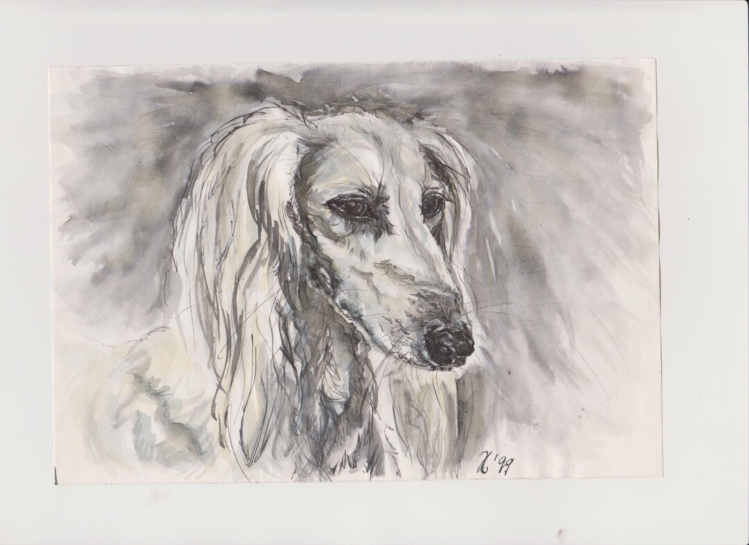 Saluki Ink Drawing, Saluki Portrait Auquarell, Photo Print/digital ...