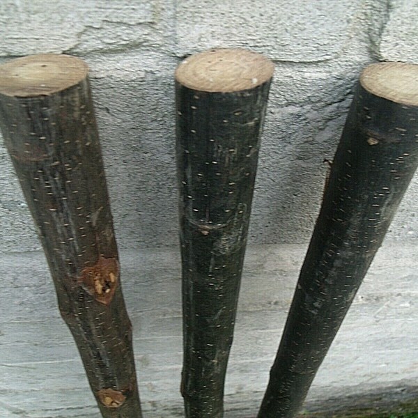 Walking Stick Blanks - Etsy