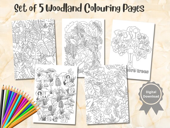 5 Printable Woodland Colouring Pages Digital Colouring Pages - Etsy