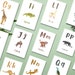 26 ABC Animal Alphabet Flashcards, Digital Alphabet Card for Preschool ...