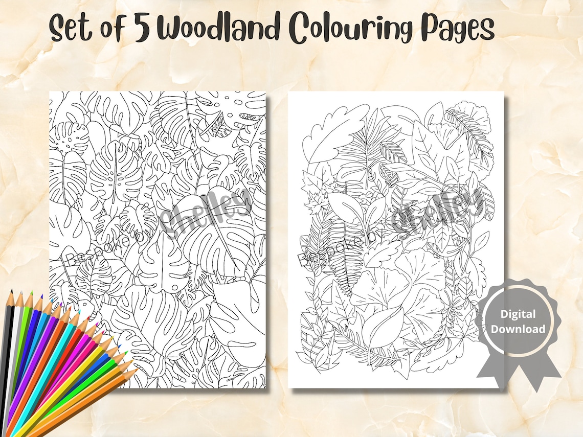 5 Printable Woodland Colouring Pages, Digital Colouring Pages for Adult ...