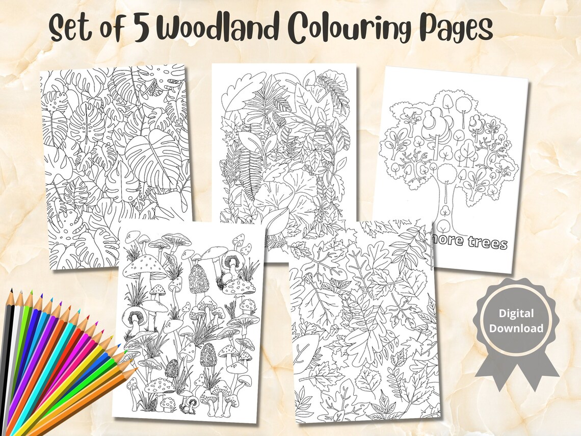 5 Printable Woodland Colouring Pages, Digital Colouring Pages for Adult ...
