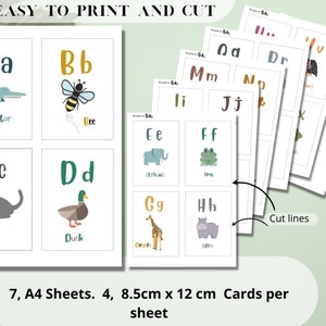 26 ABC Animal Alphabet Flashcards, Digital Alphabet Card for Preschool ...