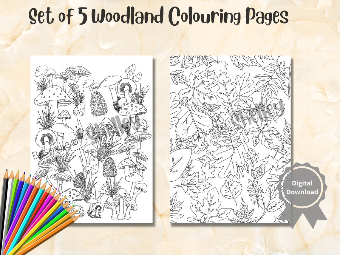 5 Printable Woodland Colouring Pages, Digital Colouring Pages for Adult ...
