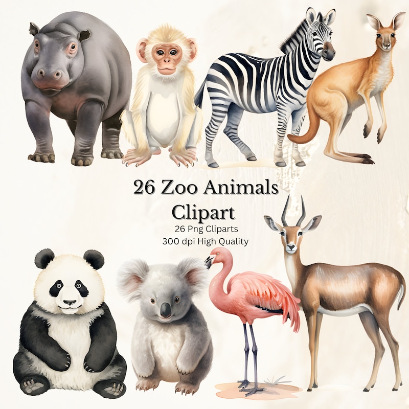 Zoo Clipart - Etsy