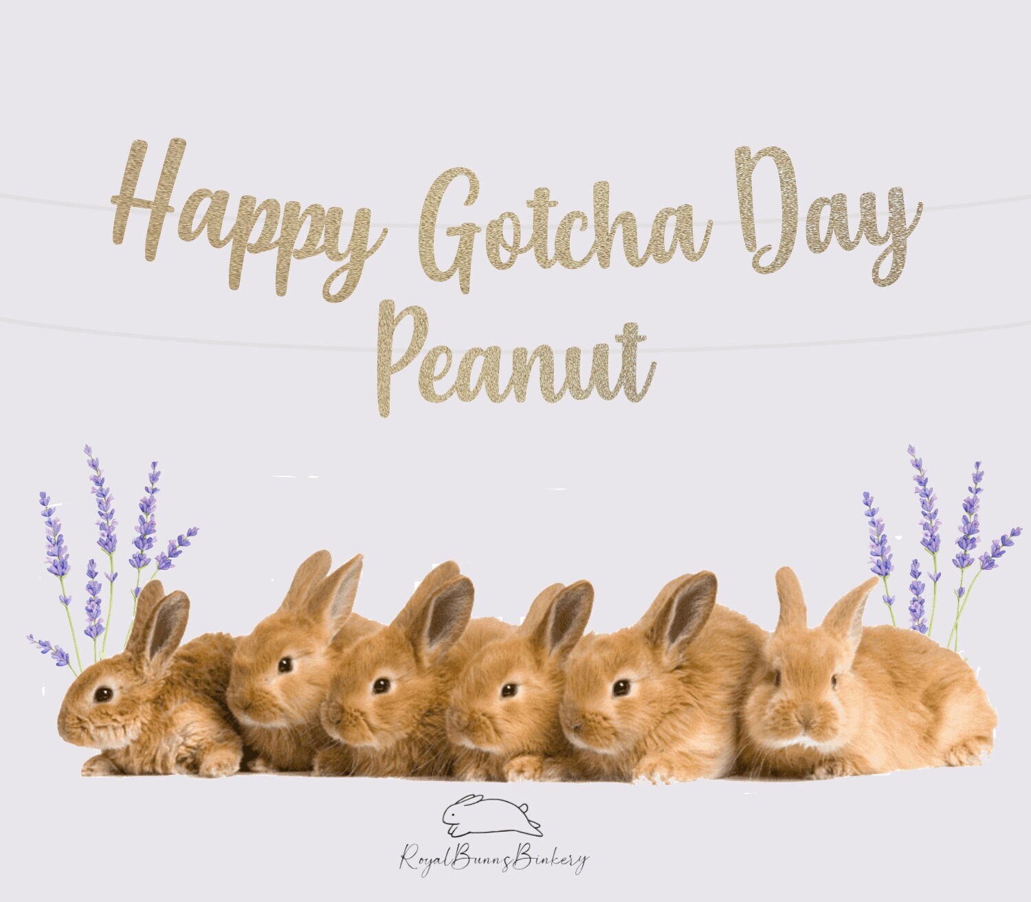 Happy Gotcha Day Glitter Personalized Banner for Bunnies • Bunny's ...