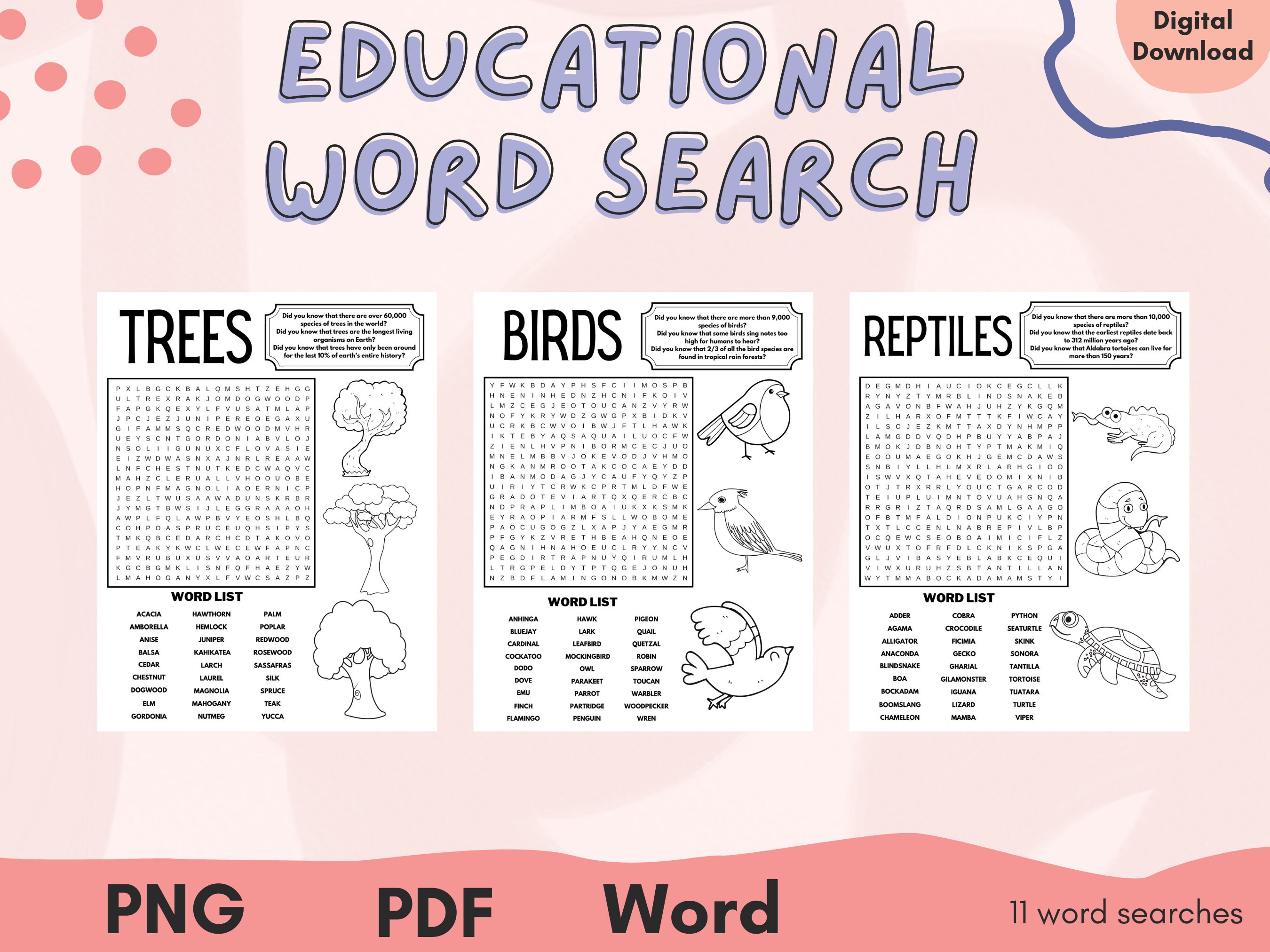 Educational Word Search | 11 Printable Word Searches | PNG | PDF | WORD ...