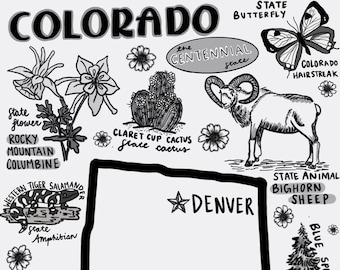 colorado state symbols coloring pages