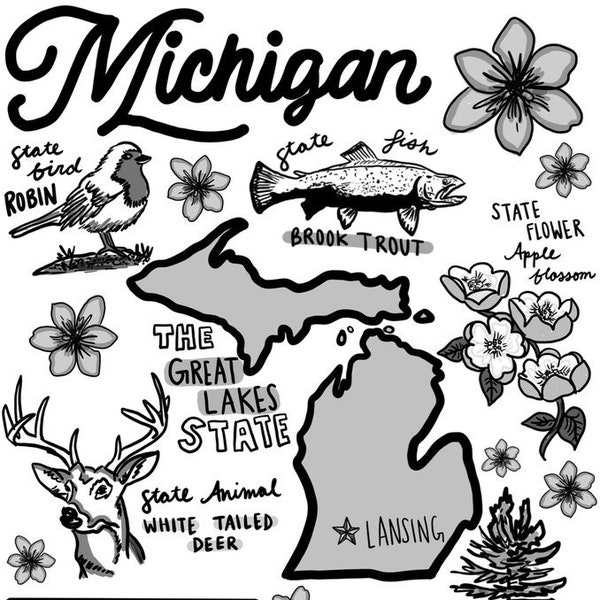 Michigan Coloring Page - Etsy