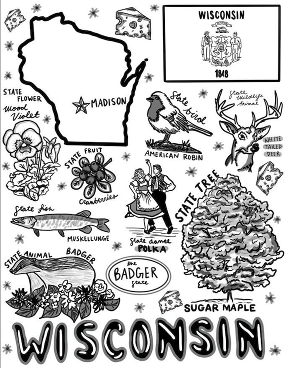 Wisconsin Coloring Page | Etsy