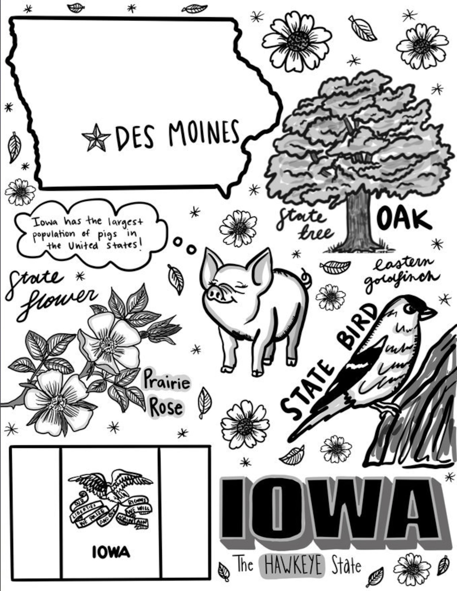 Iowa Coloring Page - Etsy