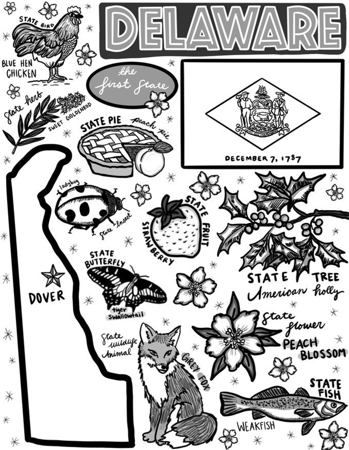 Delaware Coloring Page - Etsy