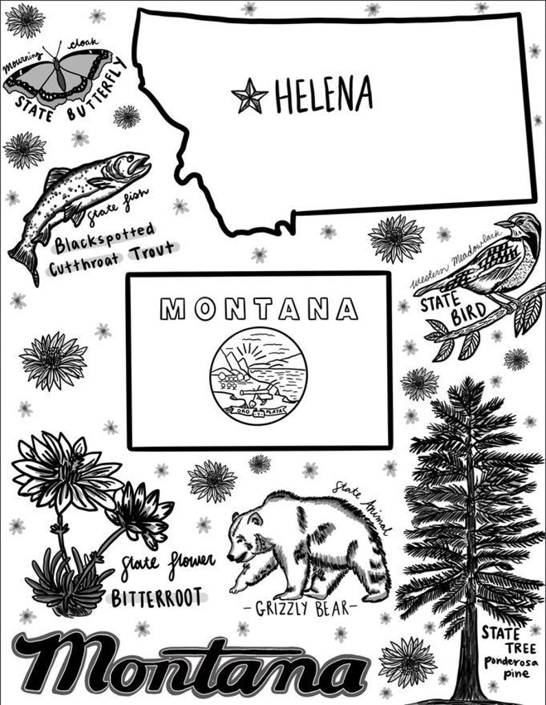 Montana Coloring Page - Etsy