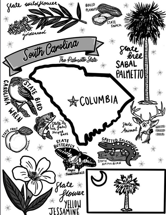 South Carolina Coloring Page | Etsy