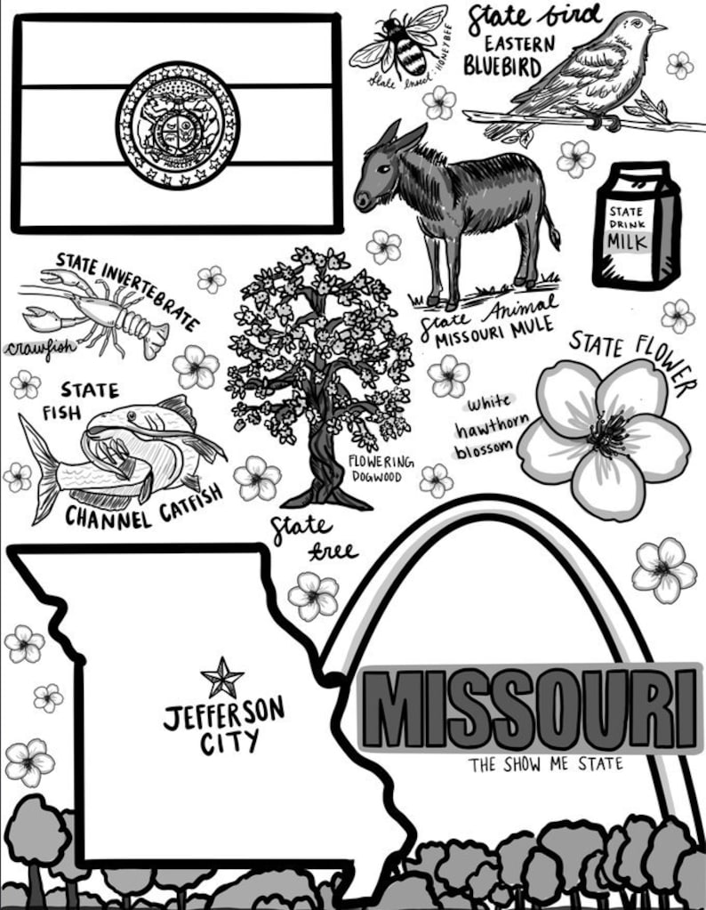 Missouri Coloring Page - Etsy