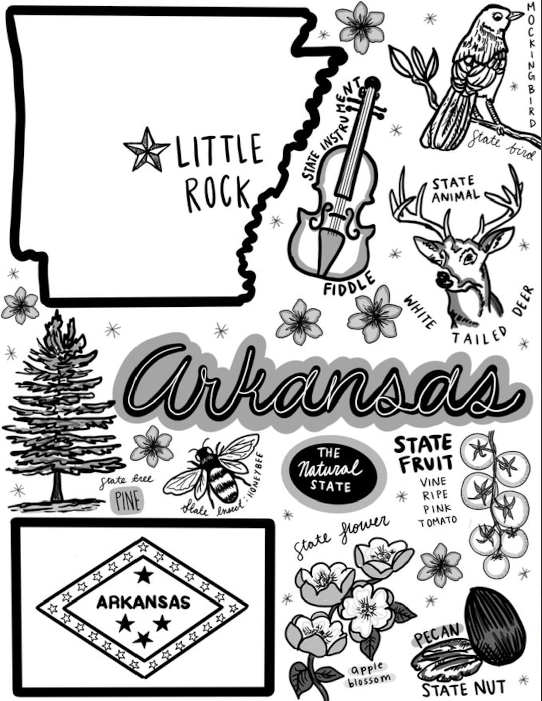Arkansas Coloring Page - Etsy