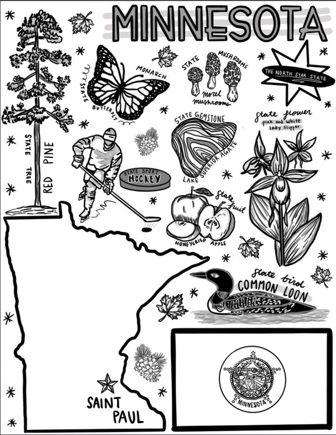 Minnesota Coloring Page - Etsy