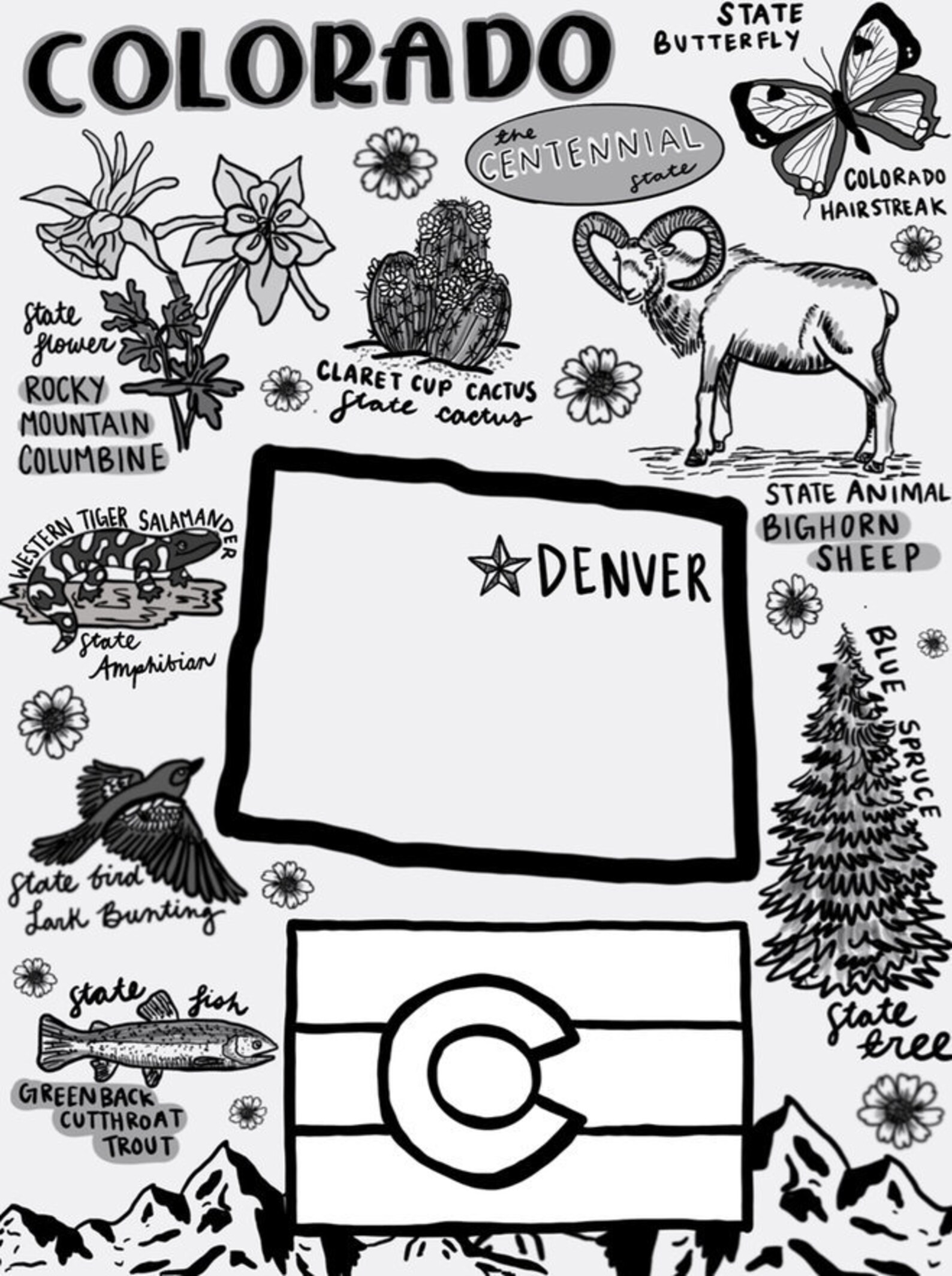 Colorado Coloring Page - Etsy